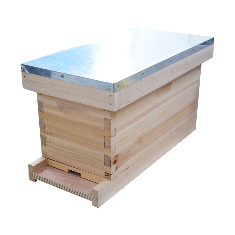 Beekeeping Equipment 5 Frames Beehive Box Wooden Bee Hive With Mesh ...