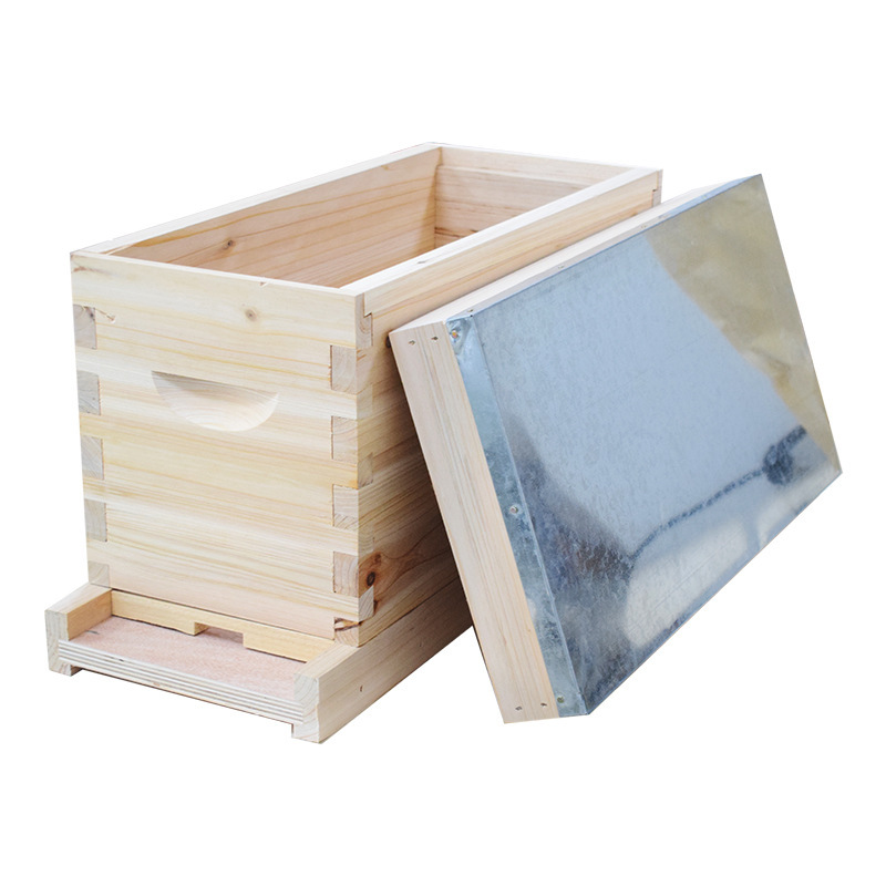 Understanding the Components of a Beehive and Parts of a Beehive ...