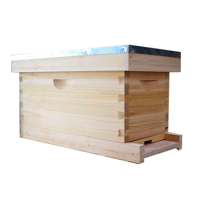 Beekeeping Equipment 5 Frames Beehive Box Wooden Bee Hive With Mesh ...