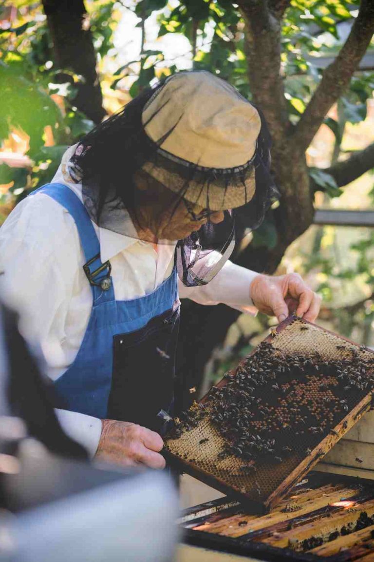 Optimal Site Selection for Bee Farms: Ensuring Success – BeeBrill ...