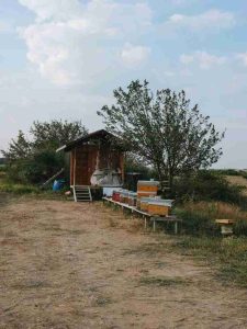 Beehive Designs and Plans: Creating the Perfect Home for Your Bees ...