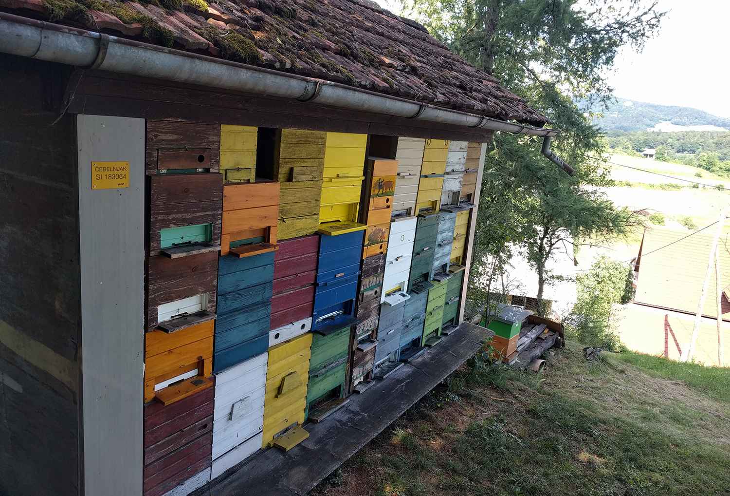 How to Build a Beehive: A Beginner’s Guide – BeeBrill-Beehive Equipment ...